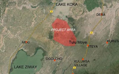 TMGO | TULU MOYE GEOTHERMAL